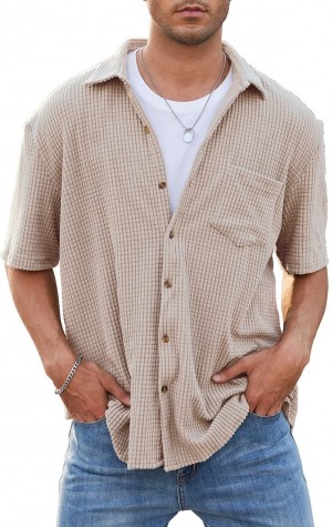 signature collection