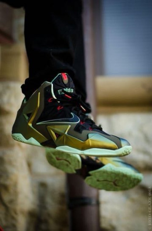 Lebron Xi Kings Pride